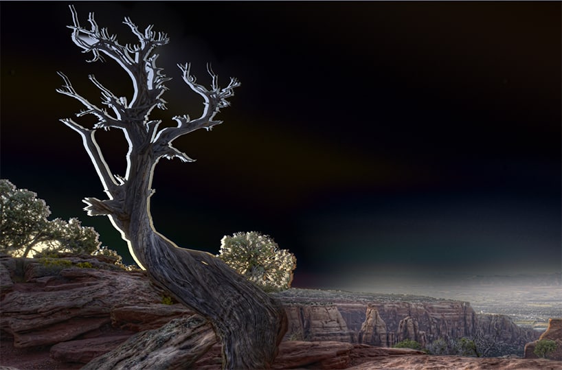 Auto Align Layers In Photoshop F64 Academy
