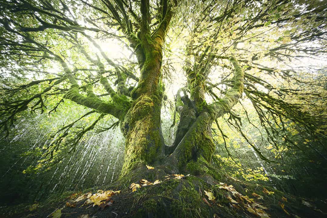 How To Make Natural Light Rays In Photoshop F64 Academy how-to-make-natural-light-rays-in-photoshop-f64-academy
